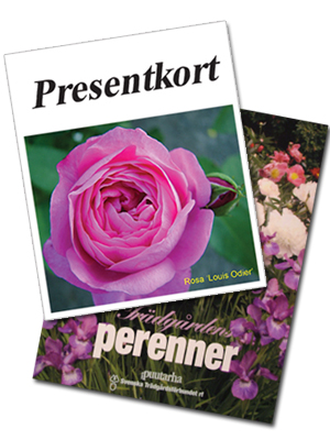 presentkort